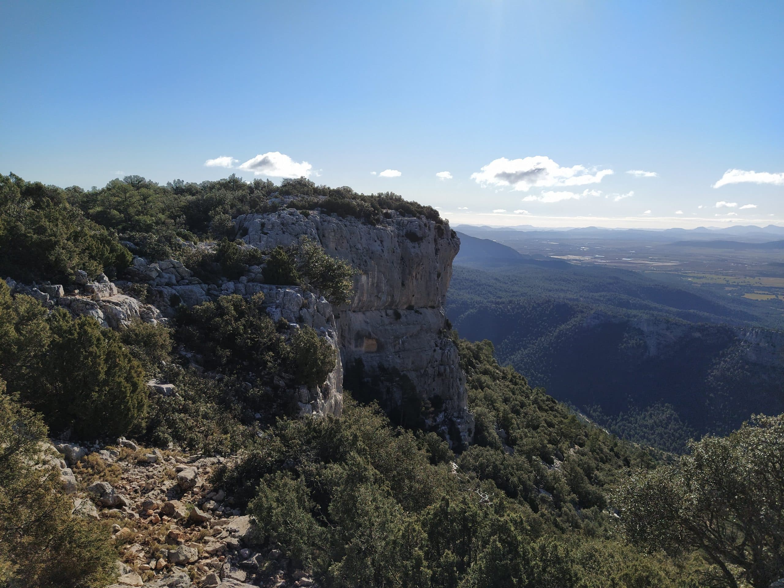 Pajarón - ASM Región de Murcia